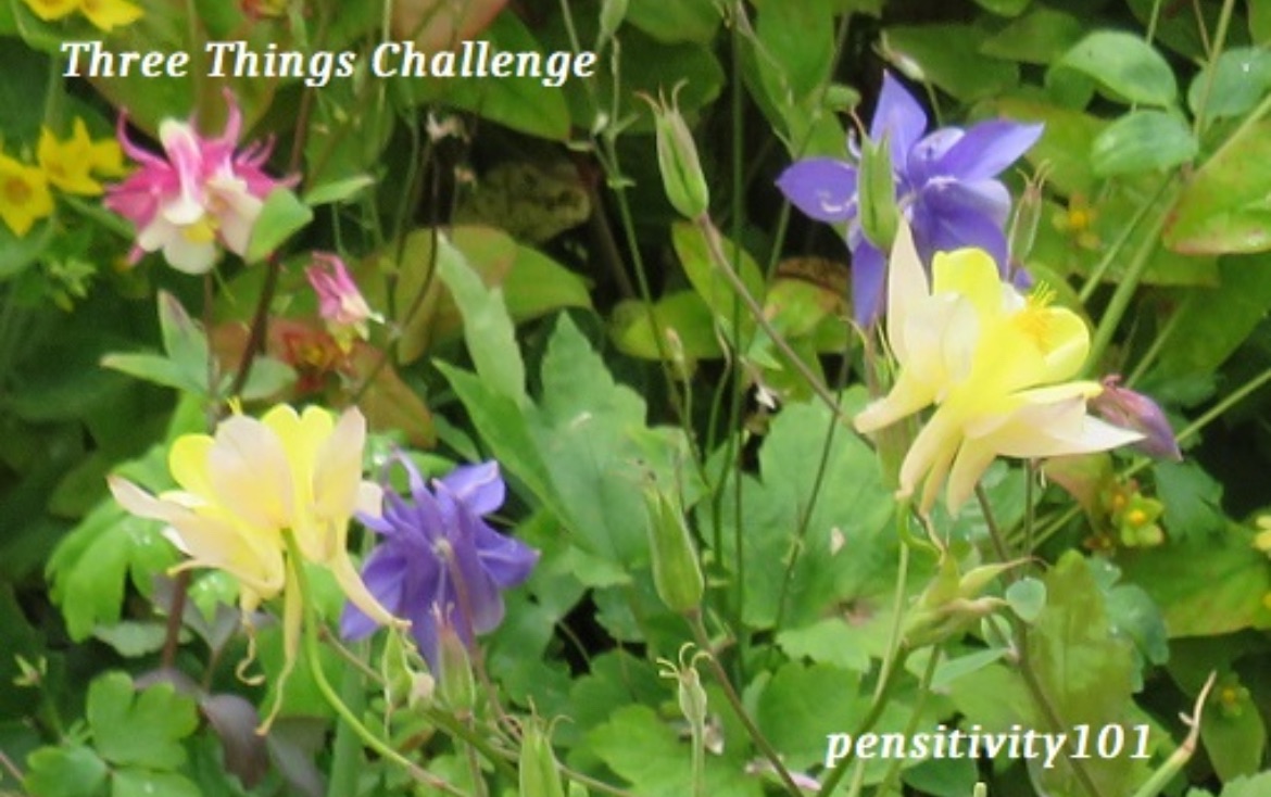 Three Things Challenge #894 – Anthony’s Crazy Love and Life Lessons in ...