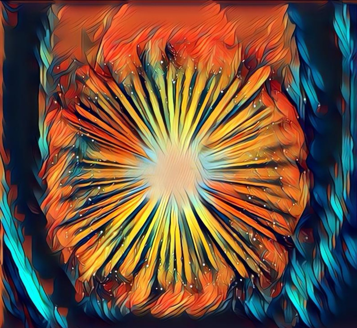 Shining Examples – Anthony’s Crazy Love and Life Lessons in Empathy