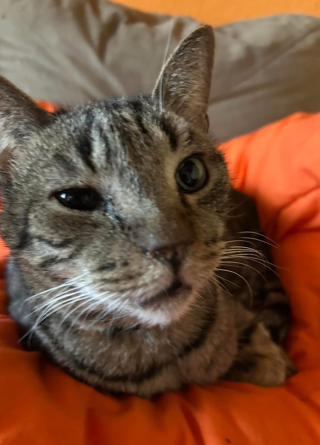 Christopher’s Kindness – Anthony’s Crazy Love and Life Lessons in Empathy