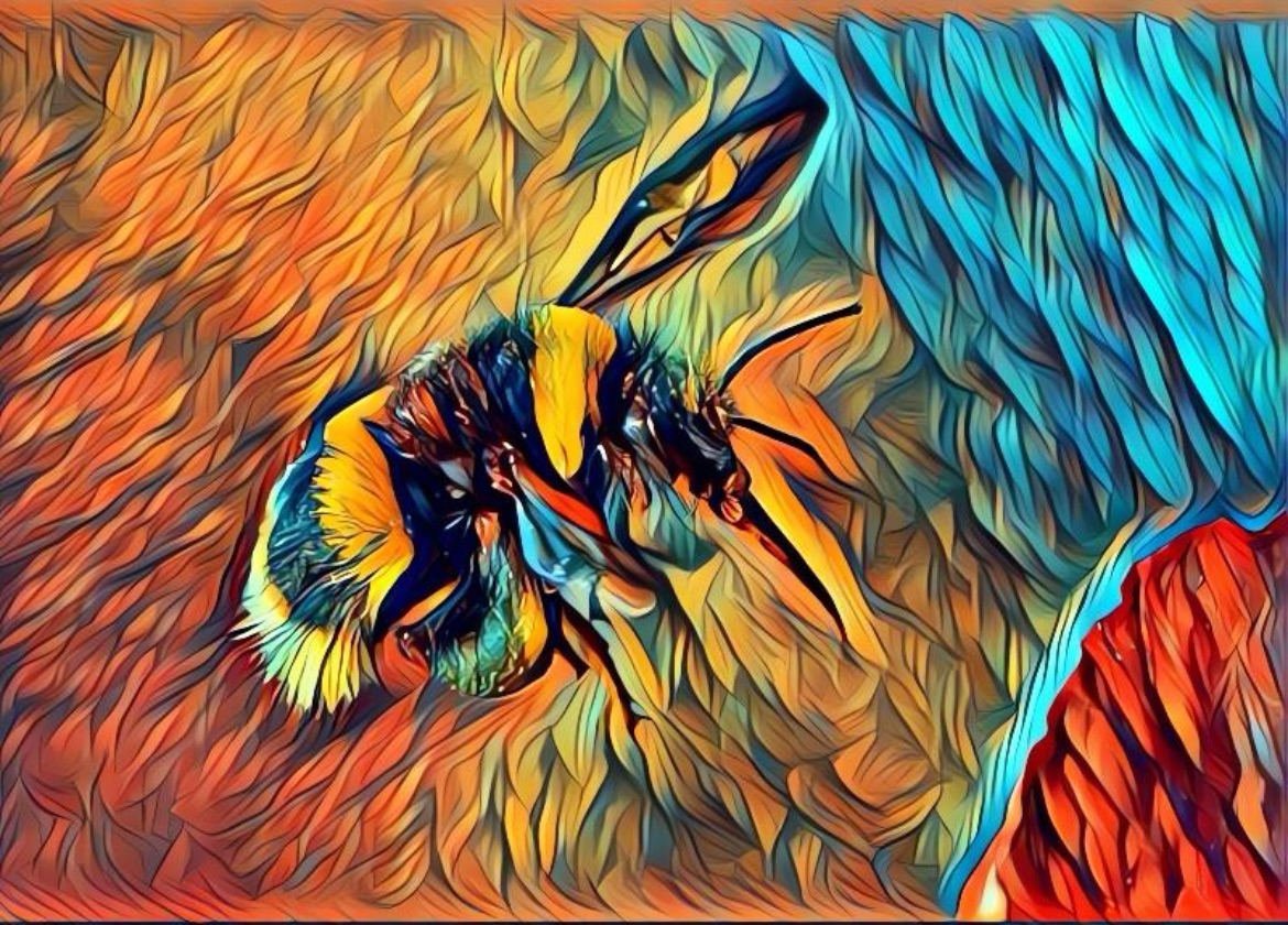 Feisty Bumble Bee – Anthony’s Crazy Love and Life Lessons in Empathy