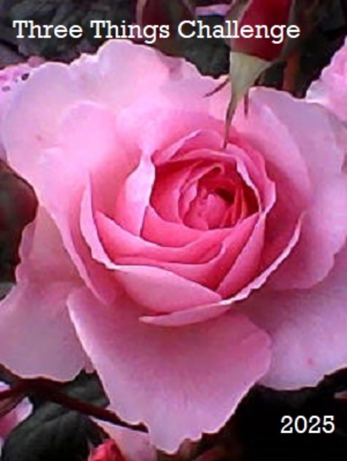 Three Things Challenge #927 – Anthony’s Crazy Love and Life Lessons in ...