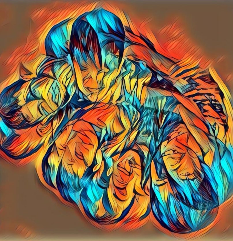 Unconditional Happiness – Anthony’s Crazy Love and Life Lessons in Empathy