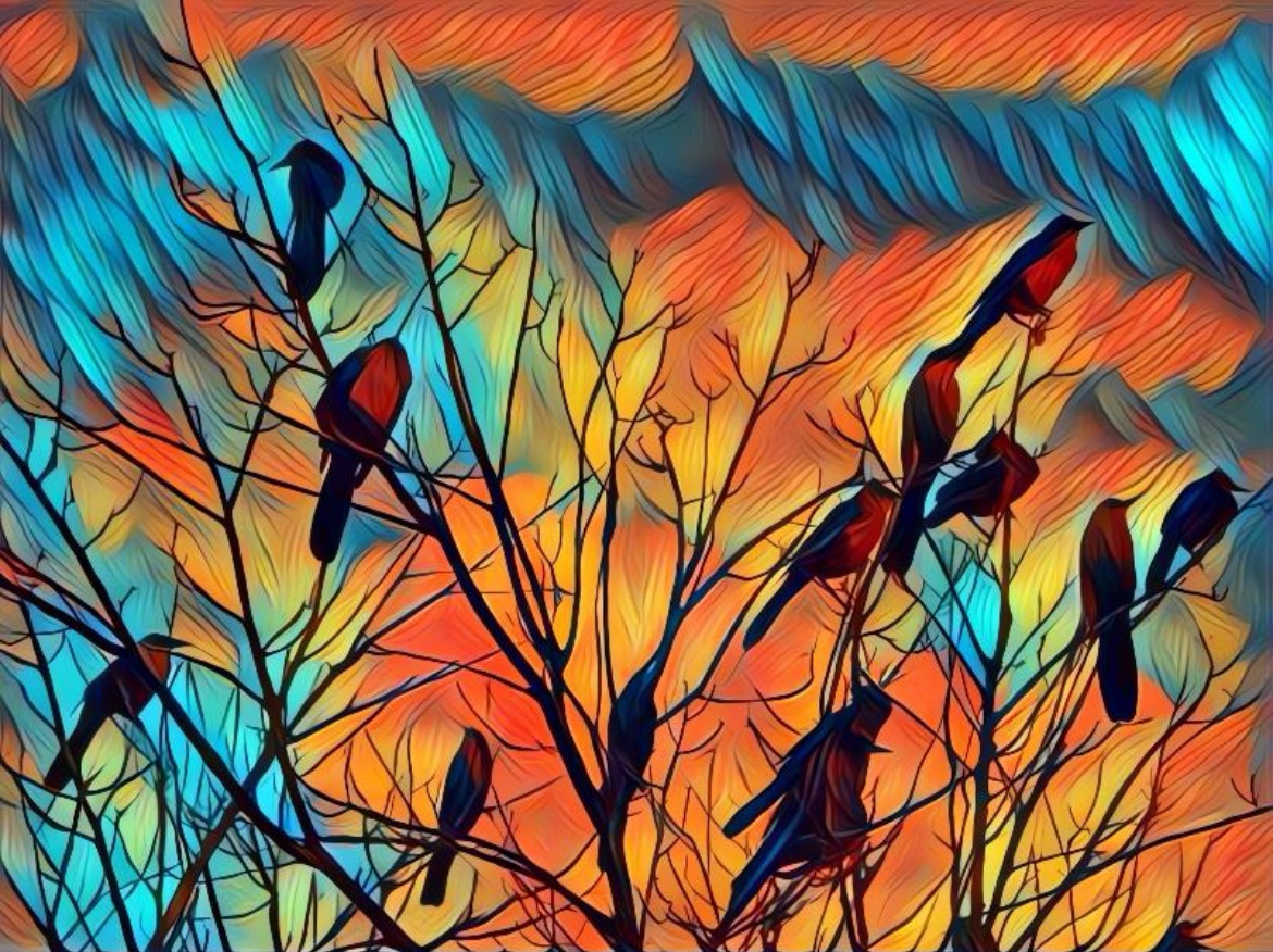 Birds – Anthony’s Crazy Love and Life Lessons in Empathy